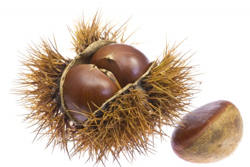 CASTANHA BIO NACIONAL - BIOCABAZ - CABAZES BIOLÓGICOS