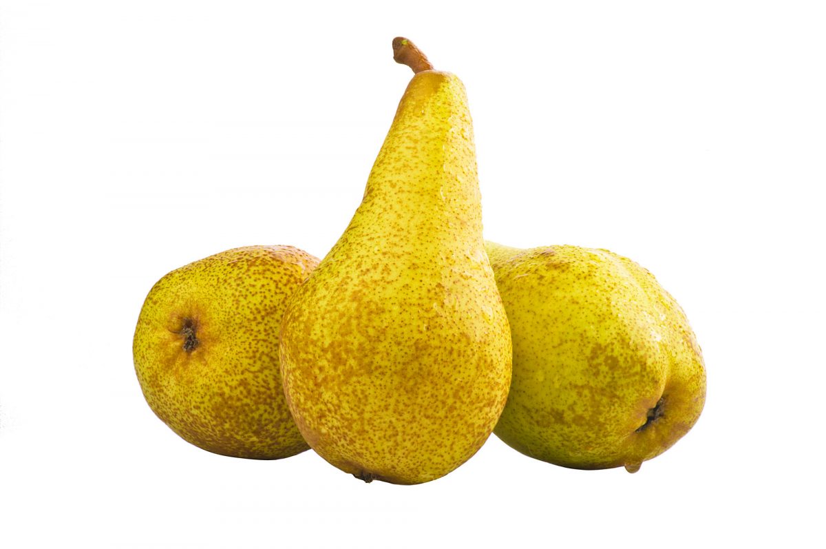 PÊRA CONFERENCIA BIO - Biocabaz