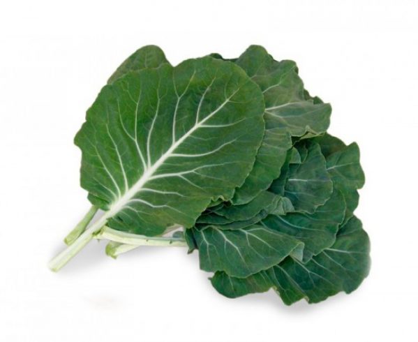 COUVE GALEGA BIO NACIONAL - Biocabaz