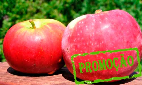 maca-querina-promo - BIOCABAZ - CABAZES BIOLÓGICOS