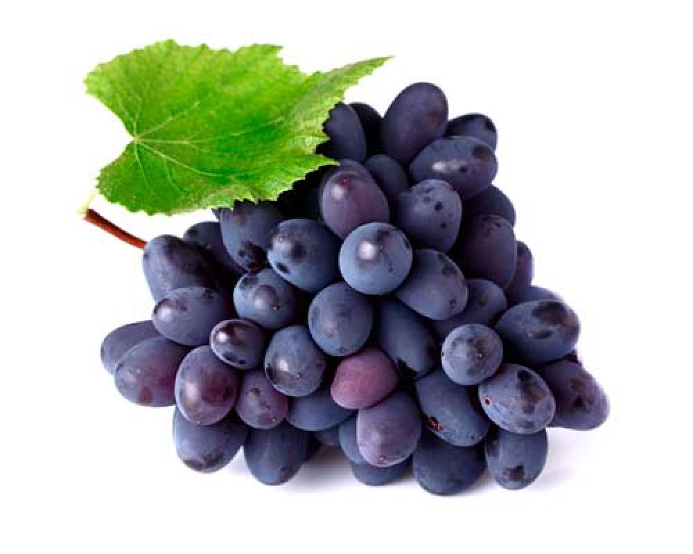 UVA PRETA S/GRAINHA BIO - BIOCABAZ - CABAZES BIOLÓGICOS