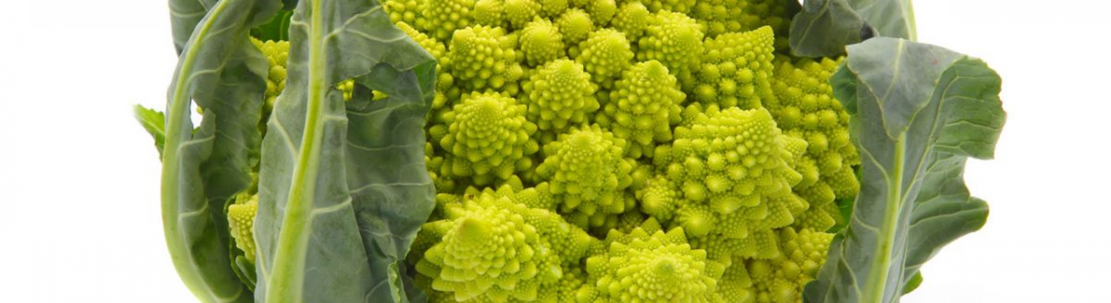 couve-romanesca - BIOCABAZ - CABAZES BIOLÓGICOS