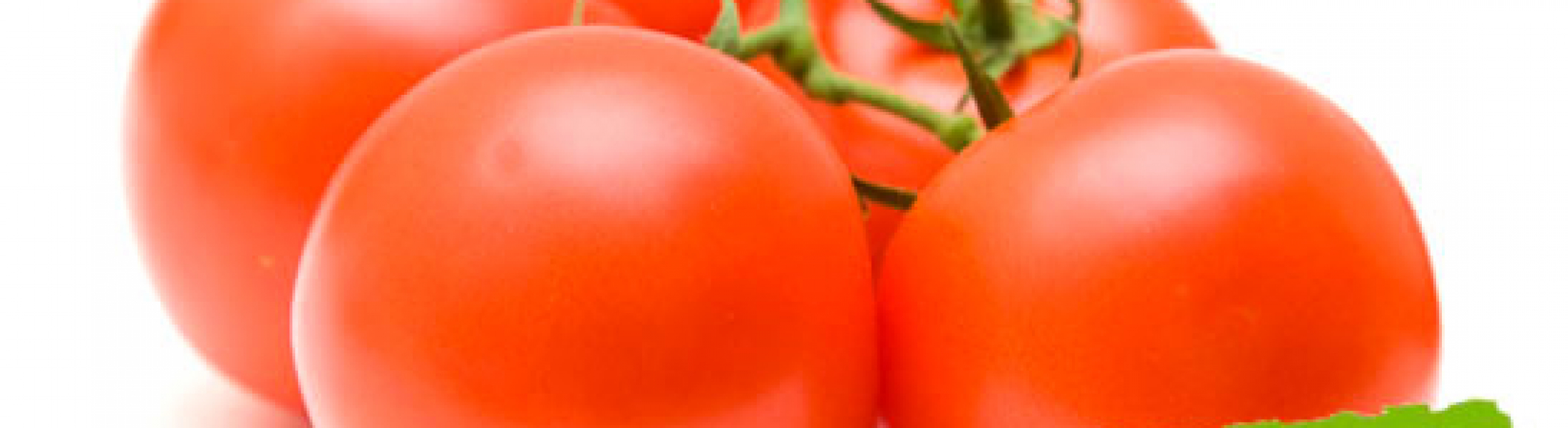 tomate-cacho-promo - BIOCABAZ - CABAZES BIOLÓGICOS